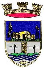 The Arroyo Family or La Familia Arroyo: Coat of Arms (Explained)