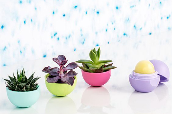 9 Fantastic Ways To Reuse Old Eos Containers And Jars - Craftsonfire