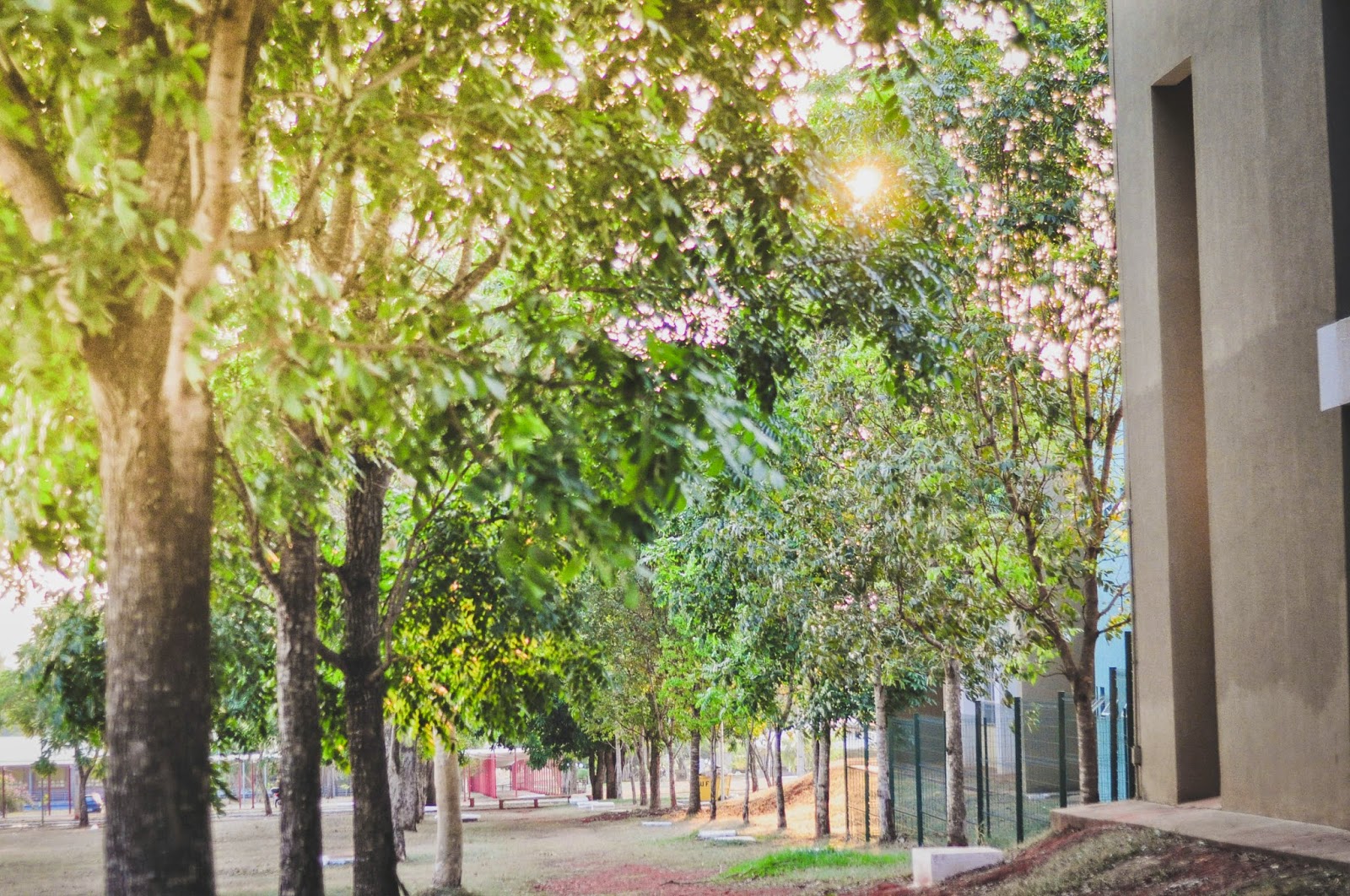 Perspectiva Criativa: UFG - Campus Samambaia