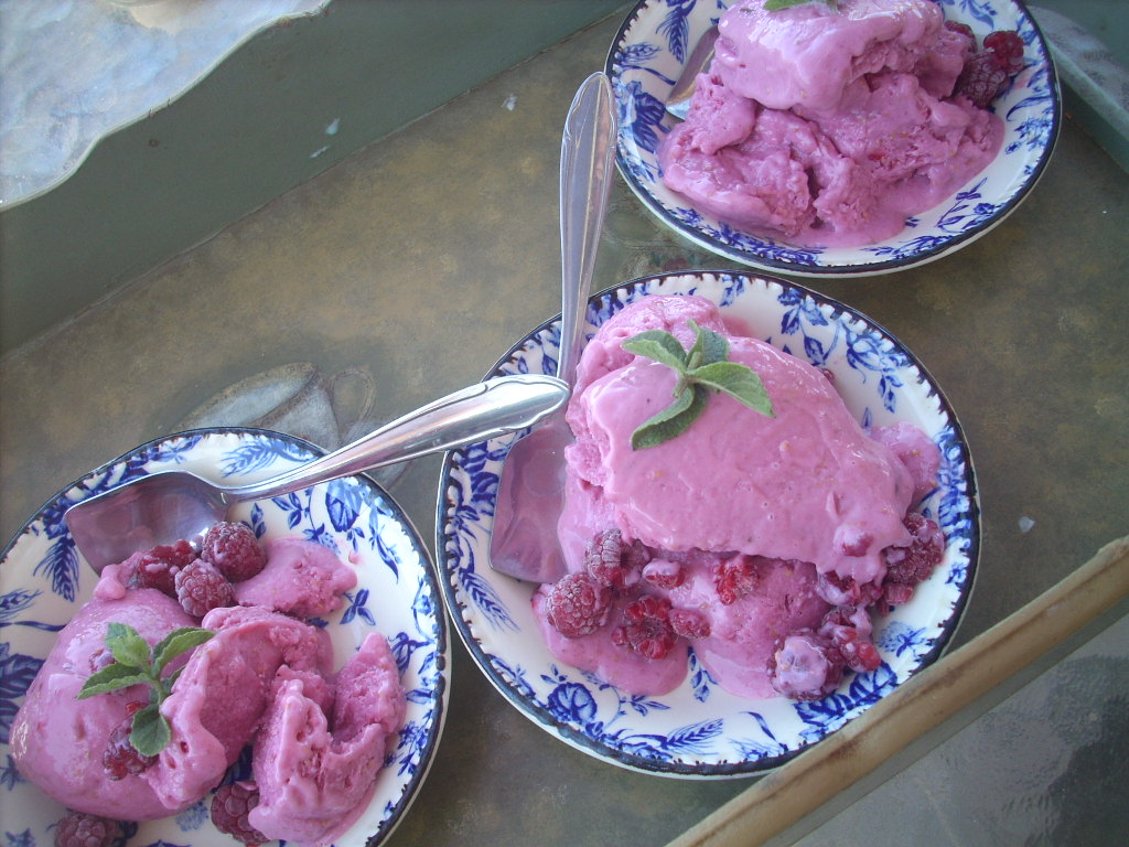 Canela kitchen (gloria): Raspberries and greek yougurt Ice cream