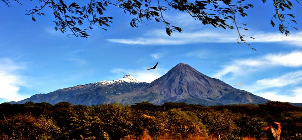 COLIMA