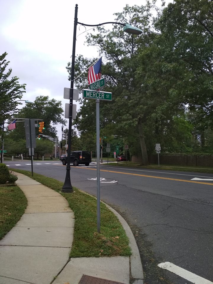 CHINAR SHADE : ALBERT EINSTIEN'S HOUSE IN PRINCETON