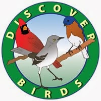 Discover Birds: A fun Interactive Bird Poster