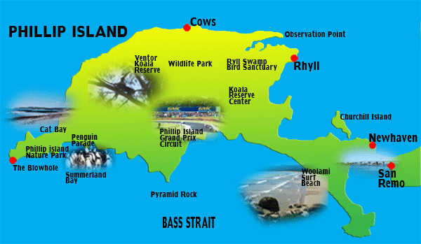 Steve's Diary: The magic of Phillip Island