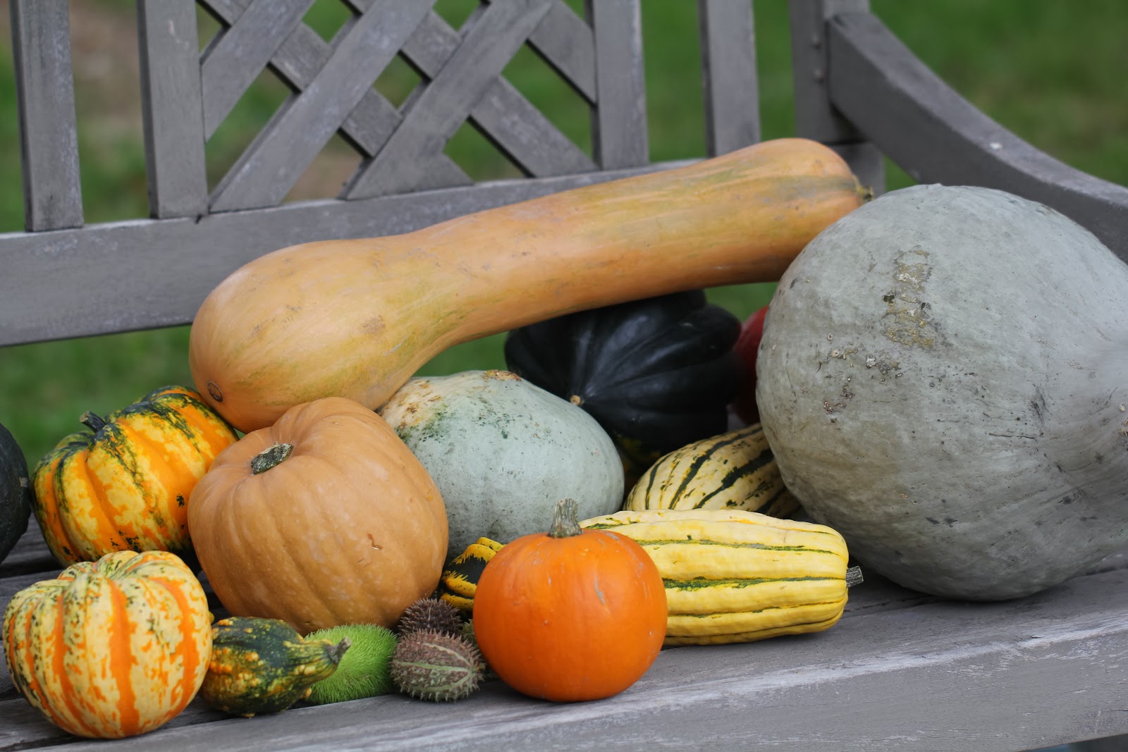 Chutney de courge longue de Nice (recette de Donna Hay ) pour ...