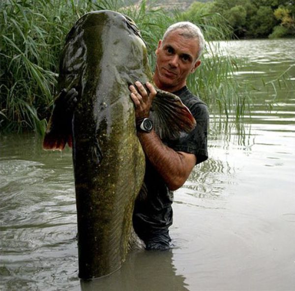 Waiting BD: The Scariest River Monsters (17 Pictures)