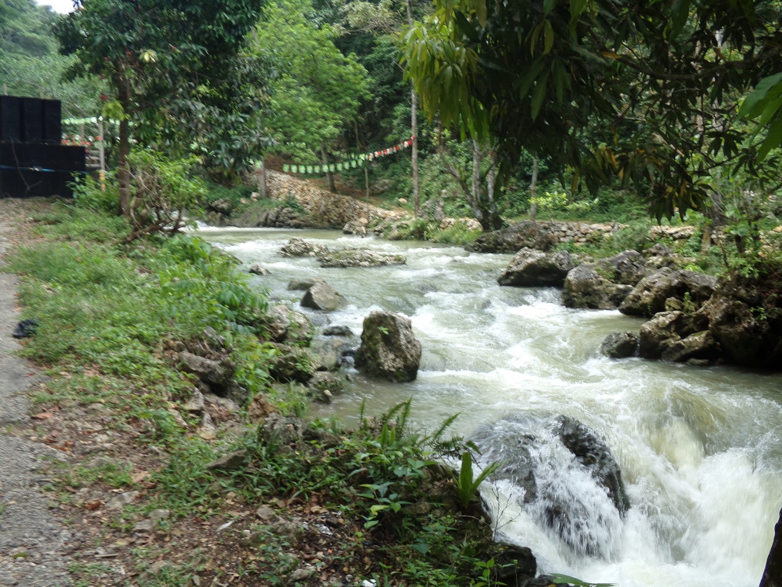 Island Butterfly Travelogue: Off The Beaten Path To Noisy River