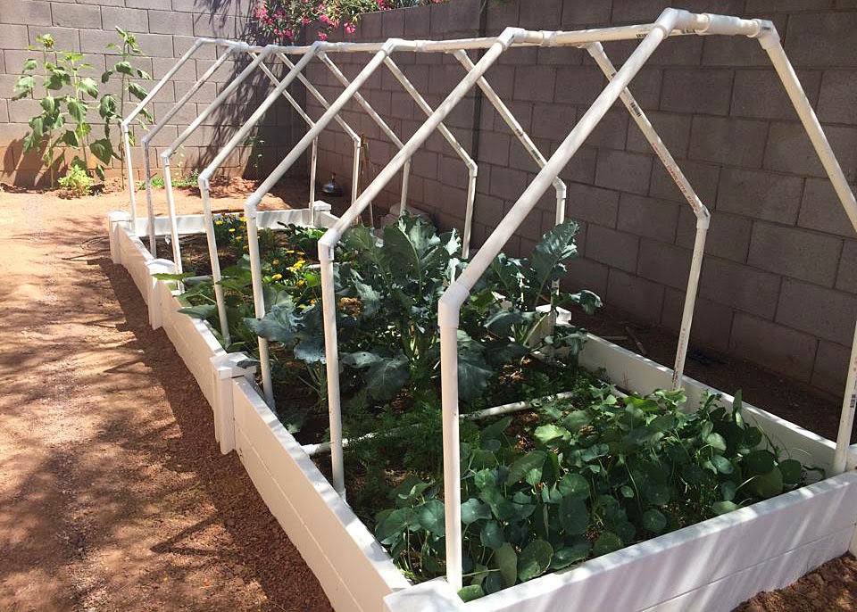 Barry et Cécile: Sun Shade for our vegetable garden