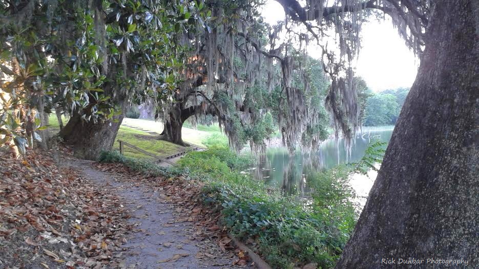 Vacation Rick: The Extraordinary Ashley River Corridor--22 miles of ...