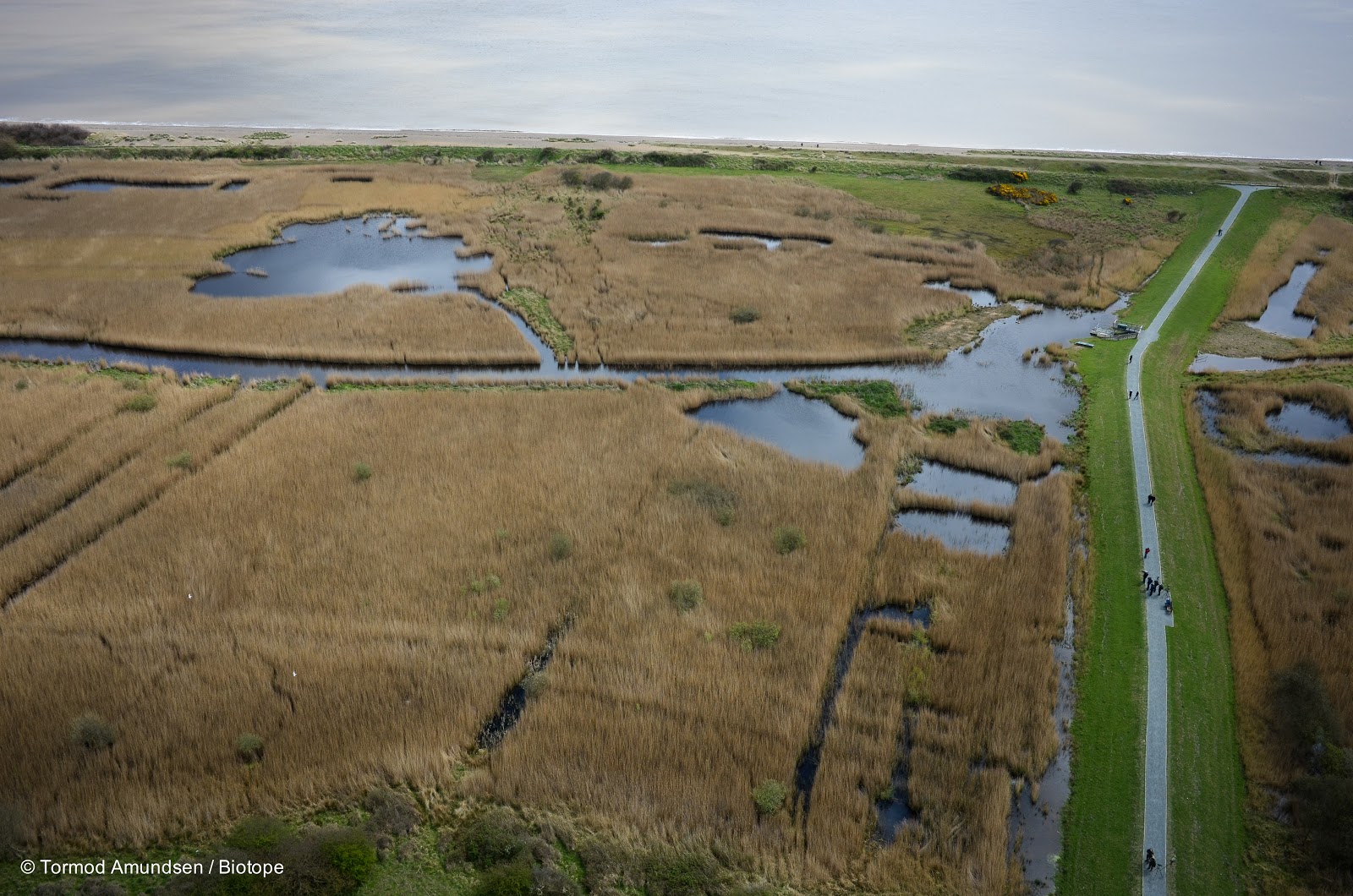 biotope: Intelligent design - the RSPB Minsmere nature reserve