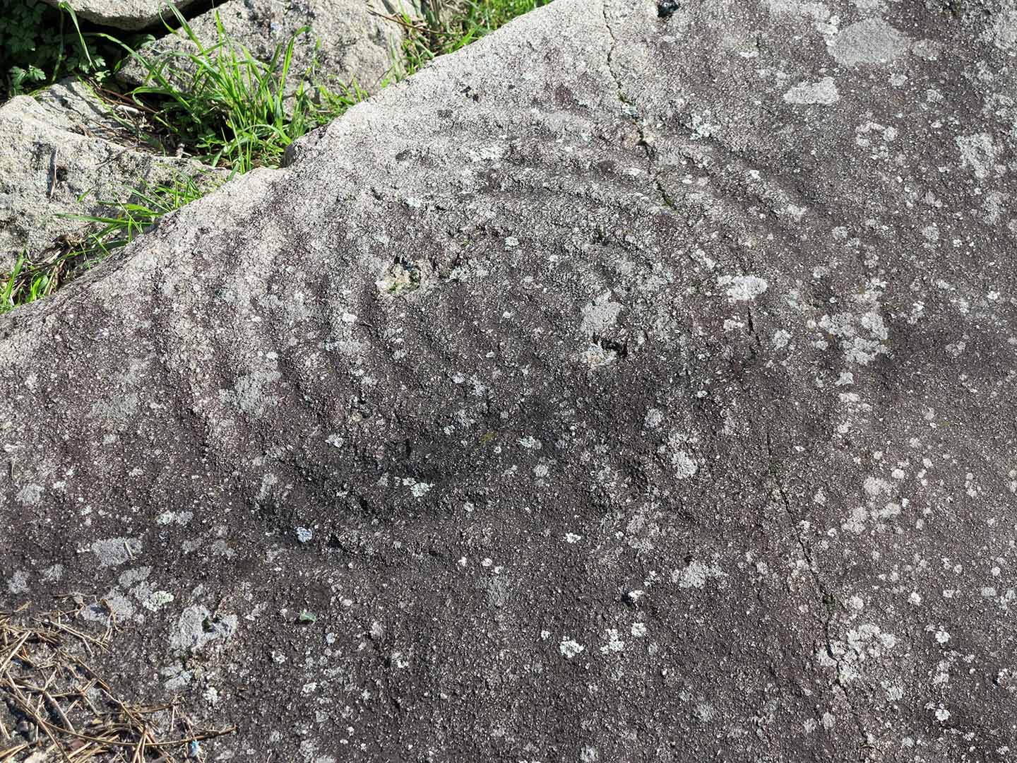 Francisco Javier Torres Goberna: Laberintos de Mogor (Marín)