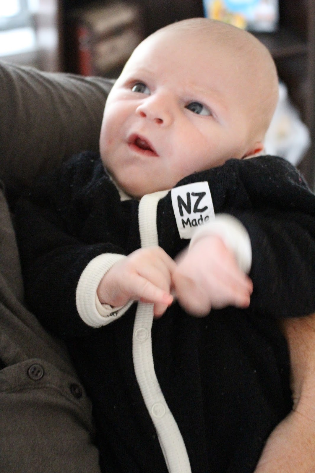 Bream Bay Kindergarten: Introducing baby Neo