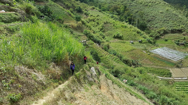 nazeha's story: Hiking: Nulu Tinorindak, Kundasang