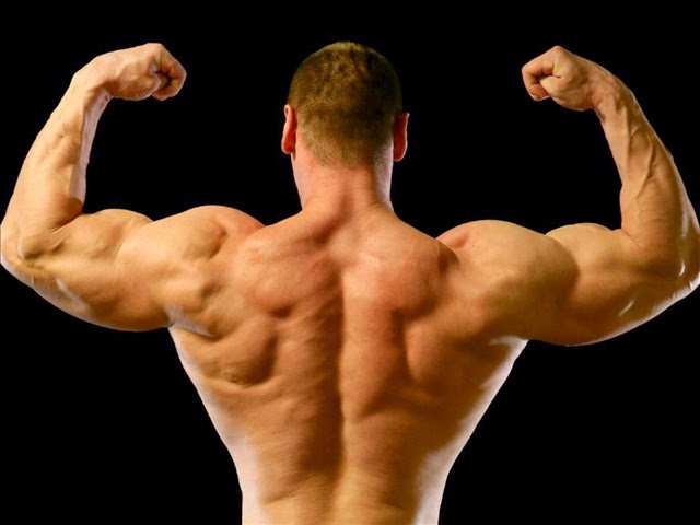 Jacked Fitness UK: Byron Knows Best - FT4- Build Muscle Fast