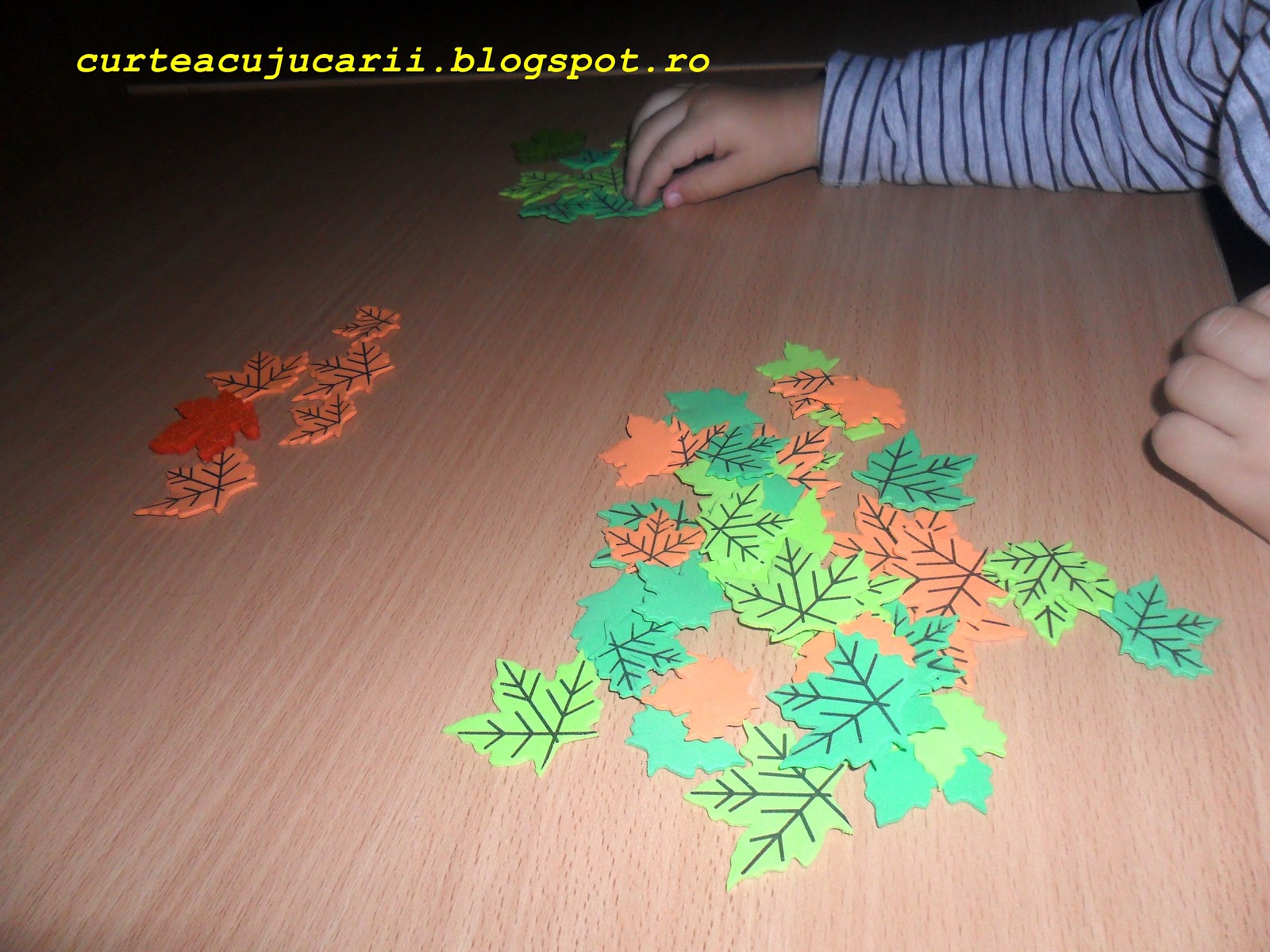 Curtea cu jucării: Tema : Toamna merge la plimbare