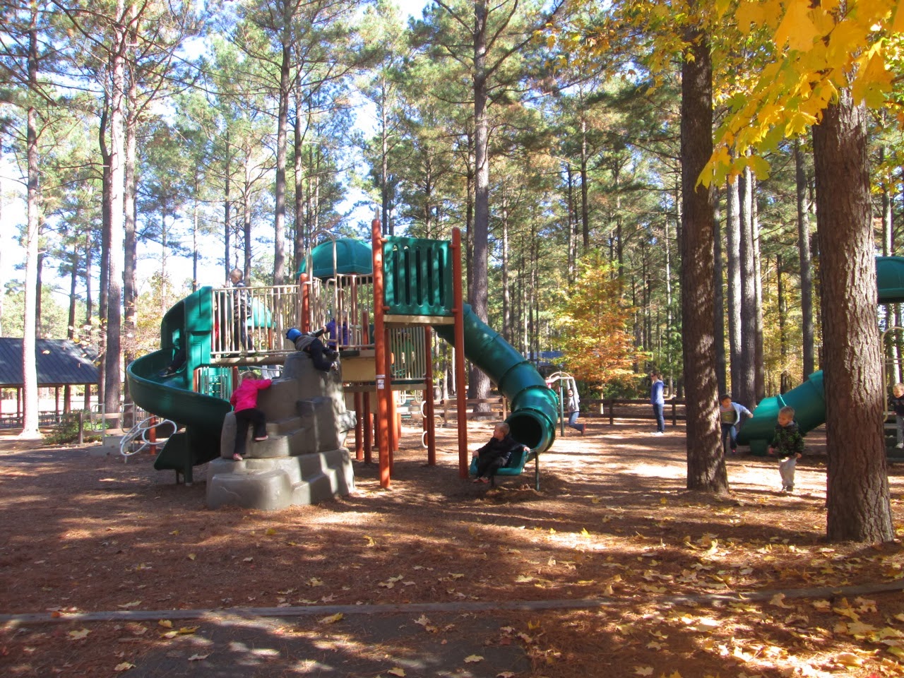 The Stir Crazy Moms' Guide to Durham: Harris Lake County Park