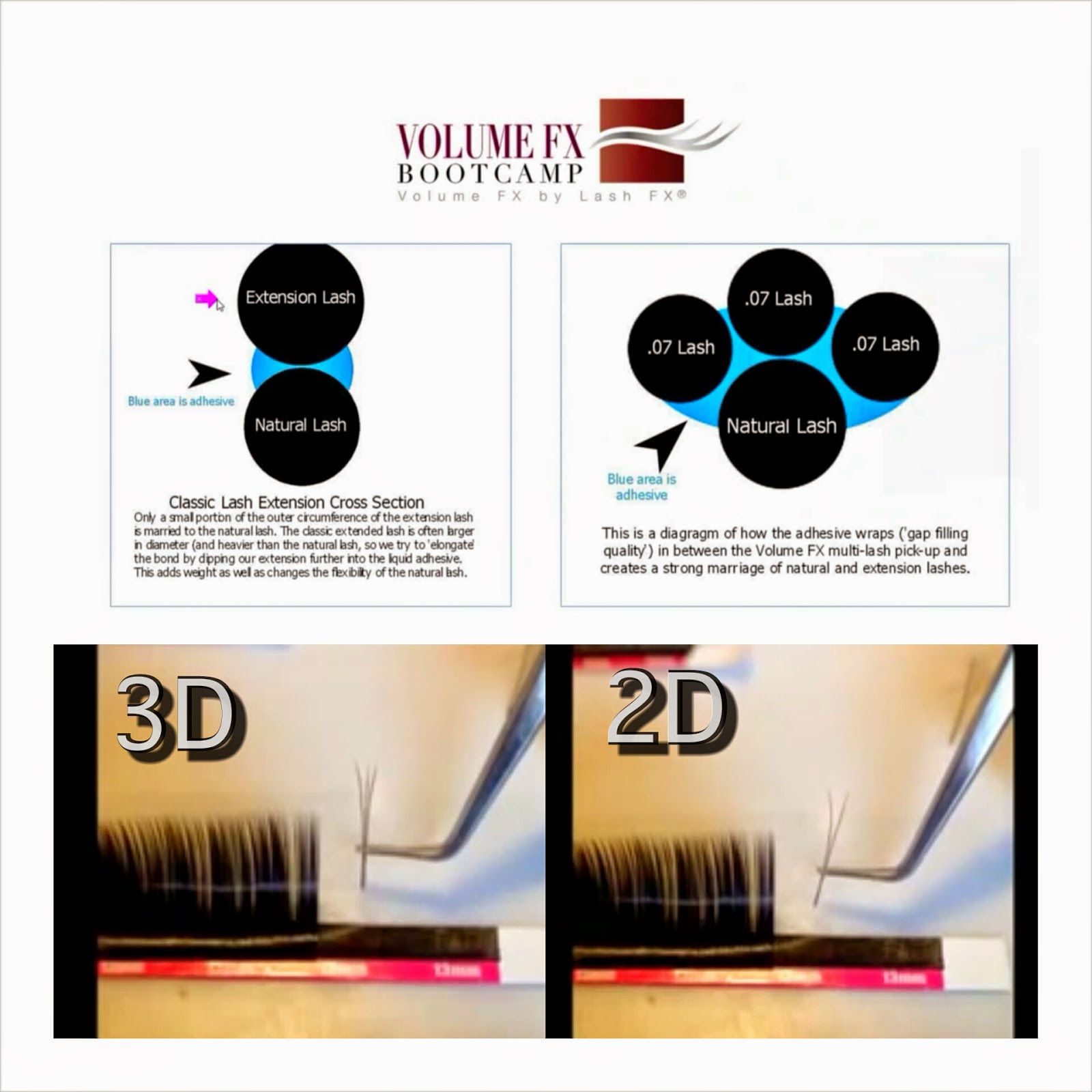 Livid Lash: Traditional Vs. Volume (2D, 3D, 4D, 5D) Lash Extensions