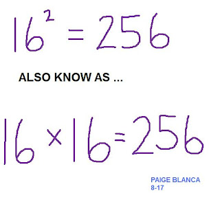 817 Math Blog (2011): Paige's Scribepost