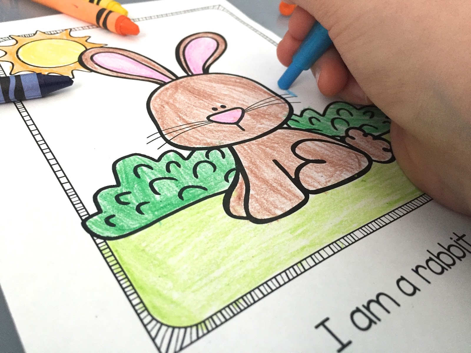 I Am a Rabbit Differentiated Readers Plus a FREEBIE | The Barefoot Teacher