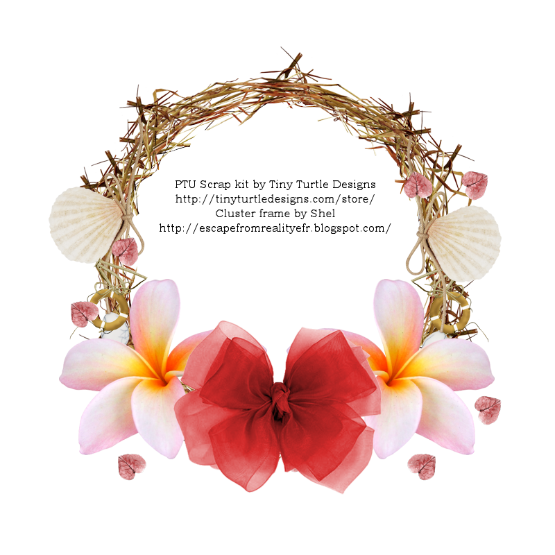 Escape From Reality Blog: FTU 'Sunset Beach' Cluster & Cluster Frames