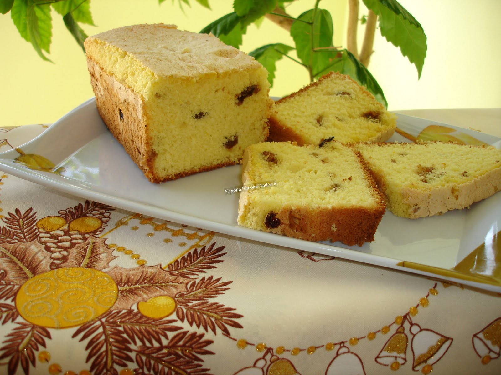 susu: Pandispan de casa