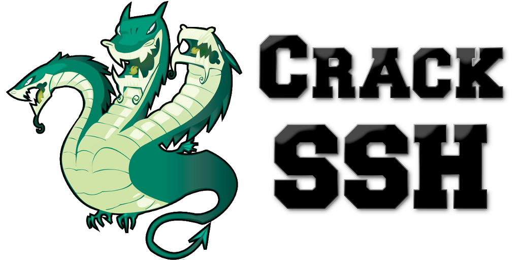 Ataque De Fuerza Bruta Con Thc Hydra A Ssh Hacking Land Hack Crack And Pentest