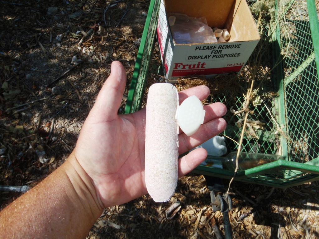 Xtremehorticulture of the Desert: The Truth About Deep Root ...