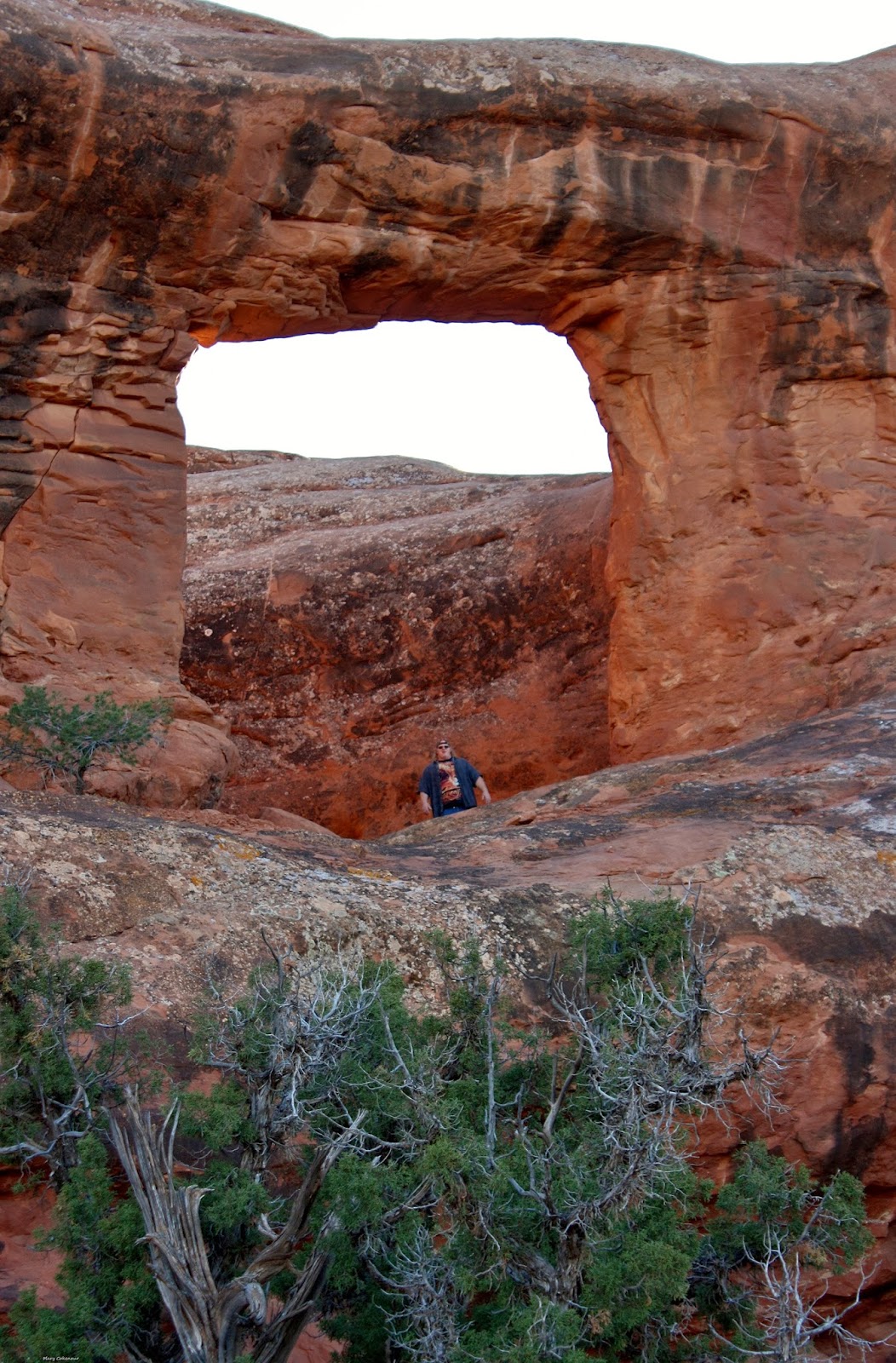 The Southwest Through Wide Brown Eyes: The Lone Rock Road Behind the ...