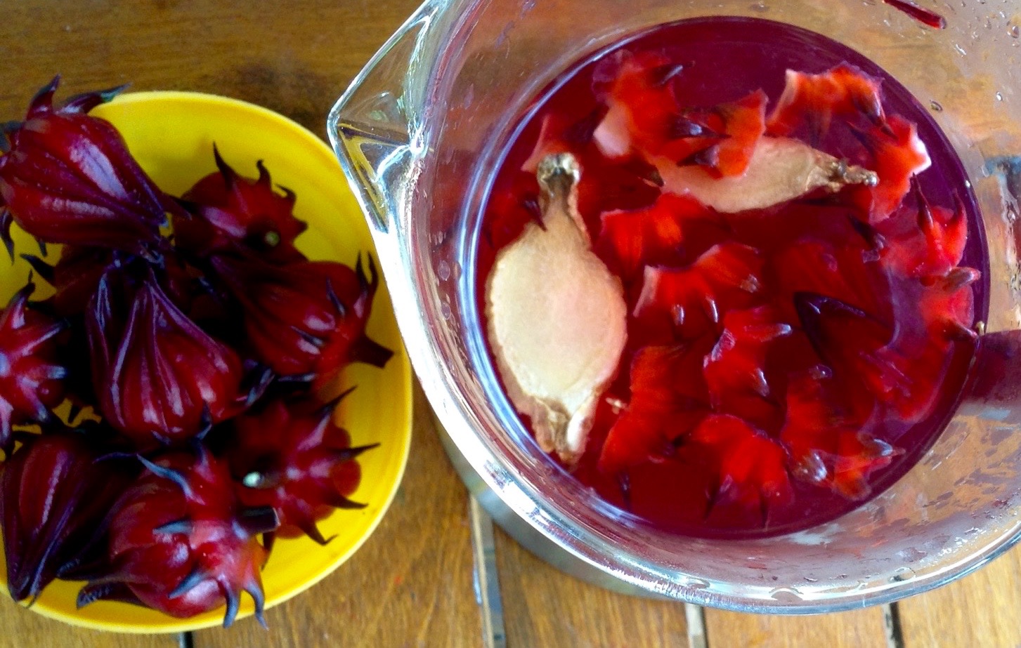 Easily Grow Vitamin C and Add Vivid Colour to Your Garden with Rosella ...