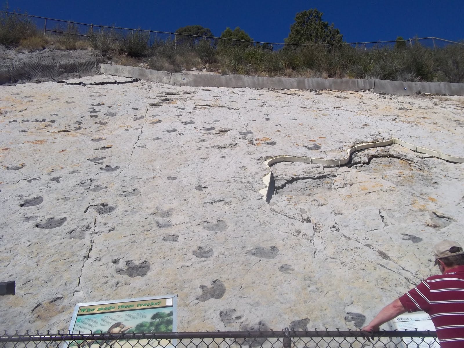 i'm going to make it (after all): Dinosaur Ridge