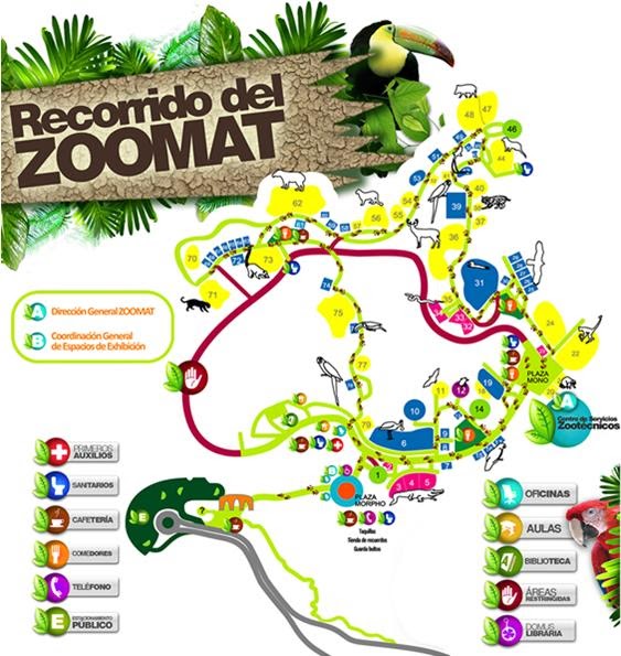 Ecotur esoterico: vén a conocer el "ZOOMAT" EN TUXTLA GUTIERREZ CHIAPAS ...