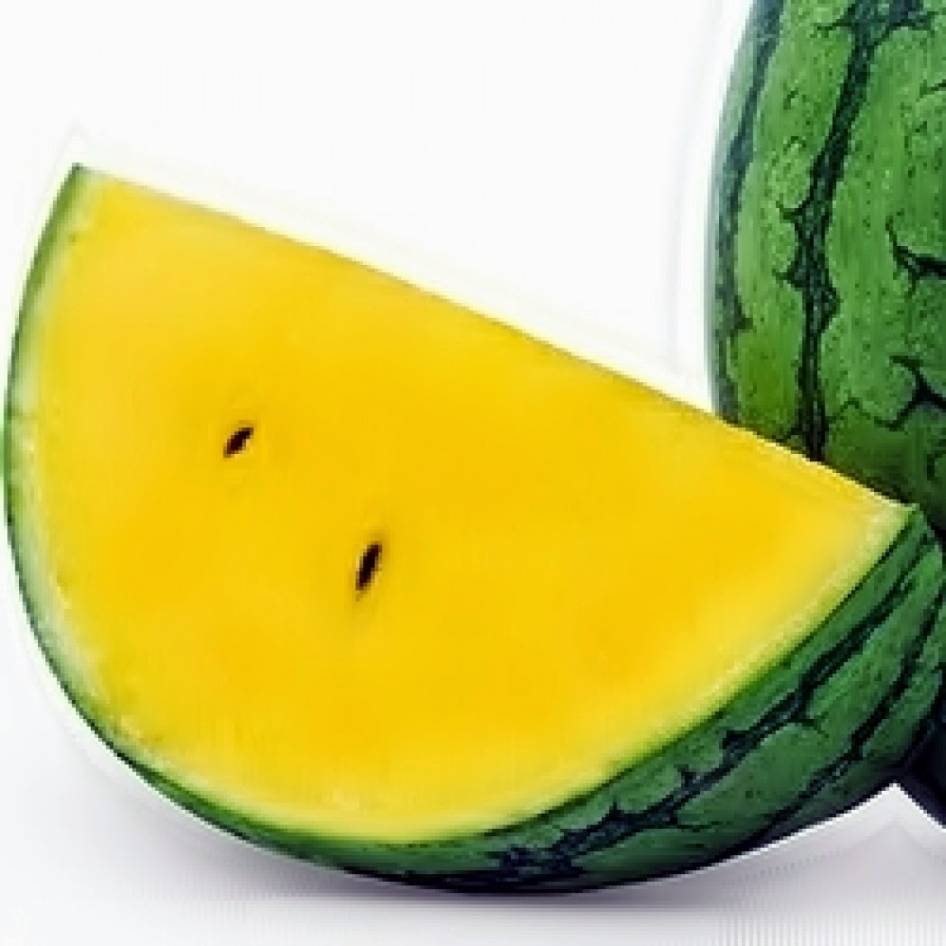 KANDUNGAN PADA BUAH SEMANGKA PENAMBAH GAIRAH - Rangkuman Cara Bertanam ...