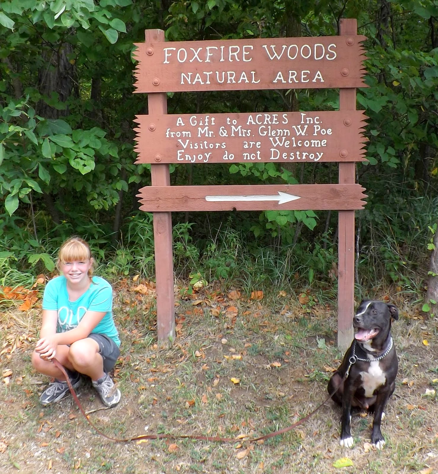 Unearthing My Creative Identity: Foxfire Woods, Allen County