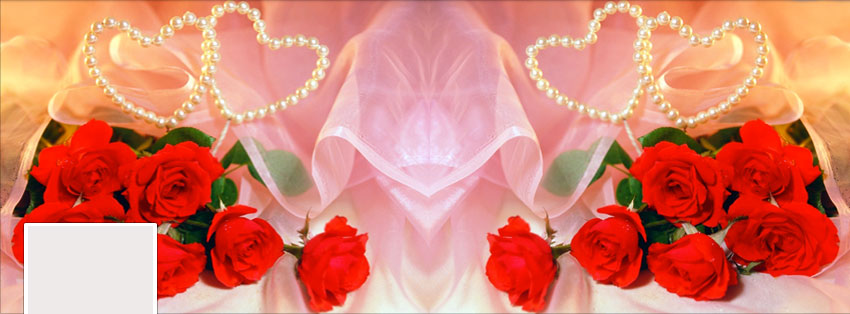 FB Covers Rose ~ Cover Facebook timeline