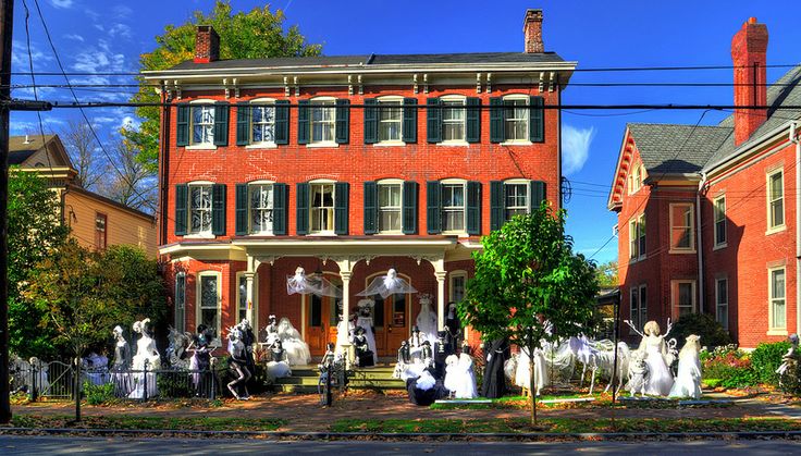 Studio Floral Dora Santoro: Lamberville