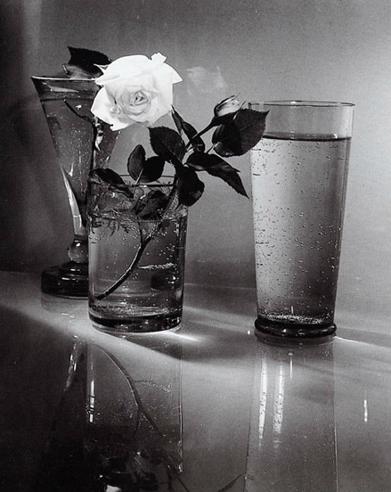 Photography in Context: Still Life - Traditional