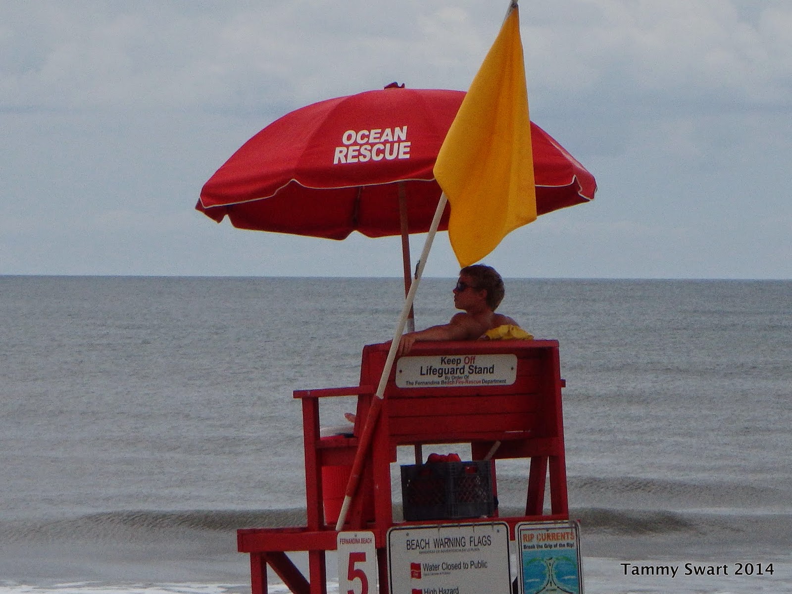 Things we did today...: Fernandina Beach - "Not Florida"