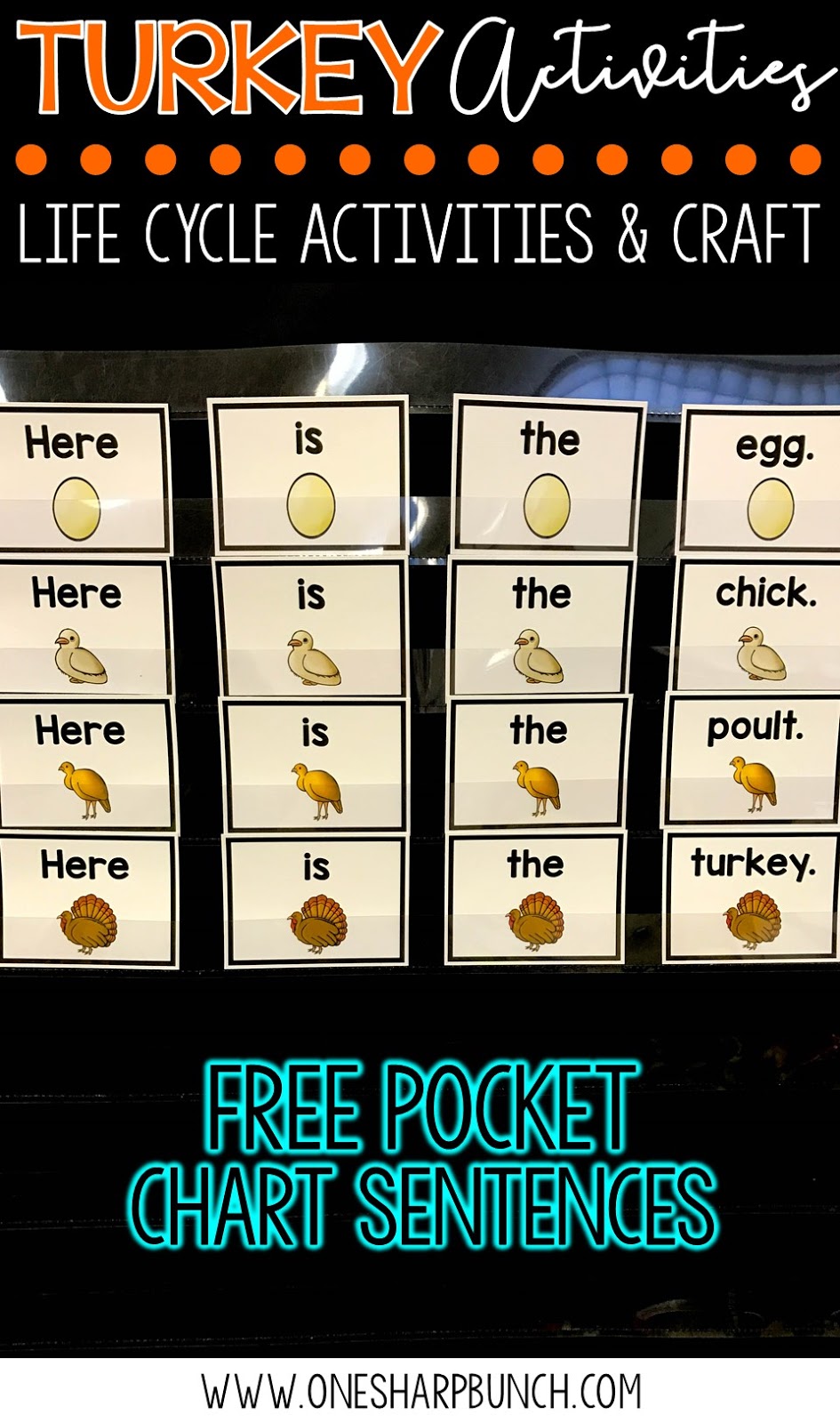 Turkey Life Cycle Activities - One Sharp Bunch