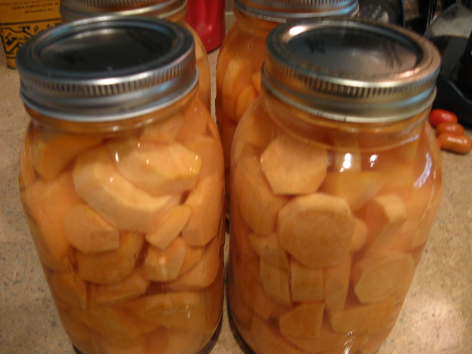 Growing Food in Florida: Harvesting Sweet Potatoes