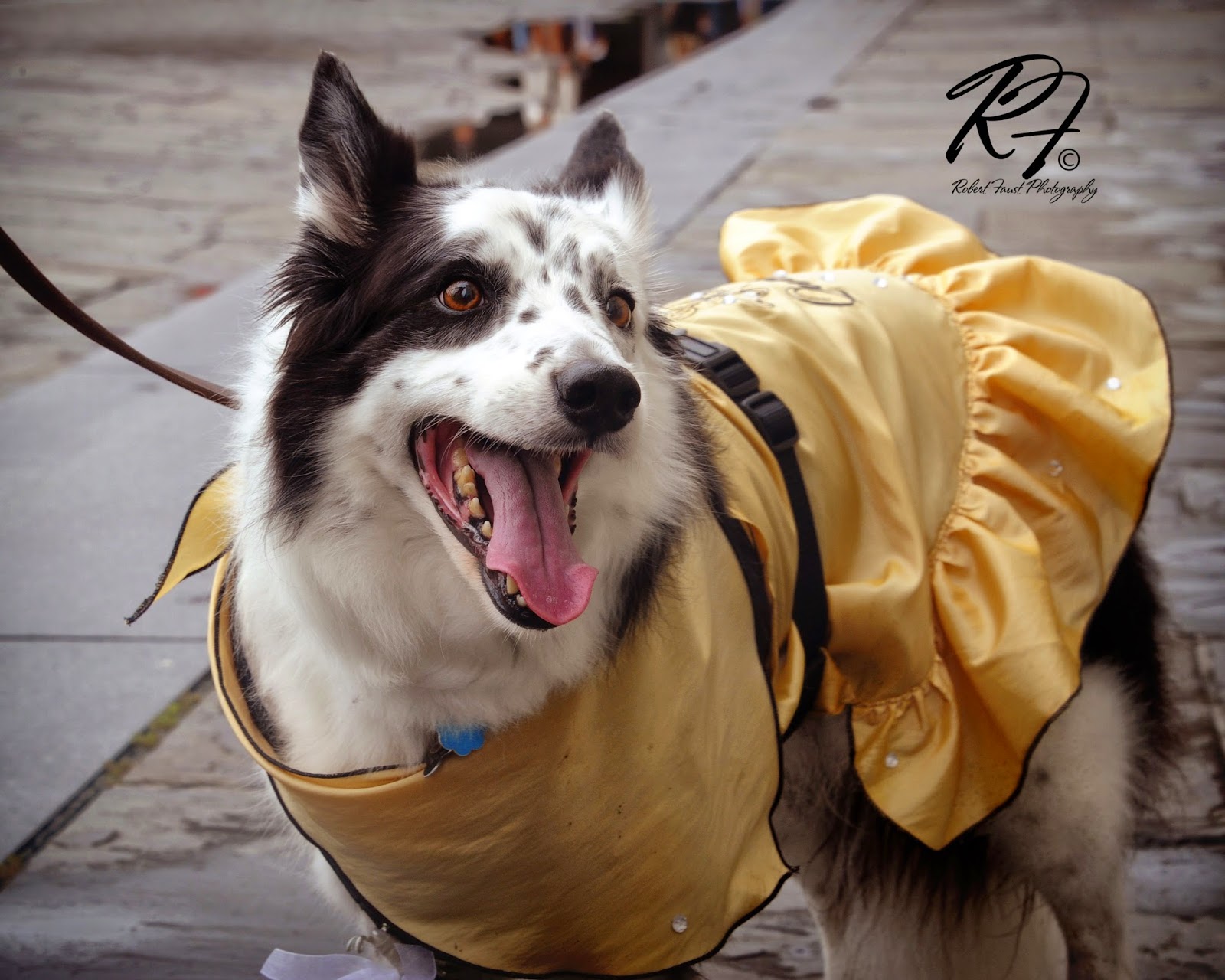 Erin Elizabeth: Lifestyle Photographer & Certified Wedding Planner: New ...