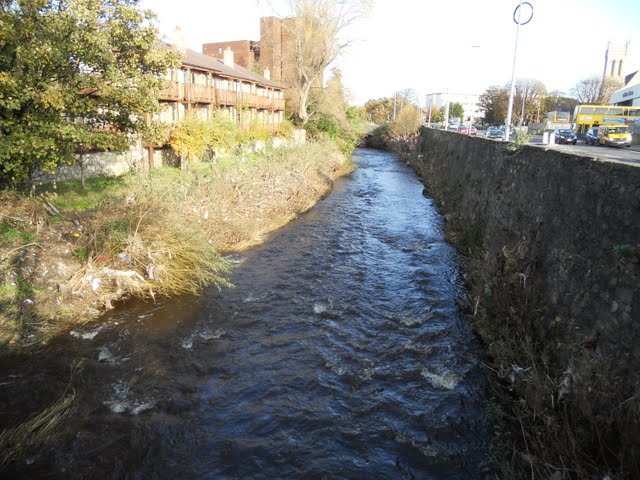 Let's Walk the River Dodder, One of the Best Hikes in Dublin