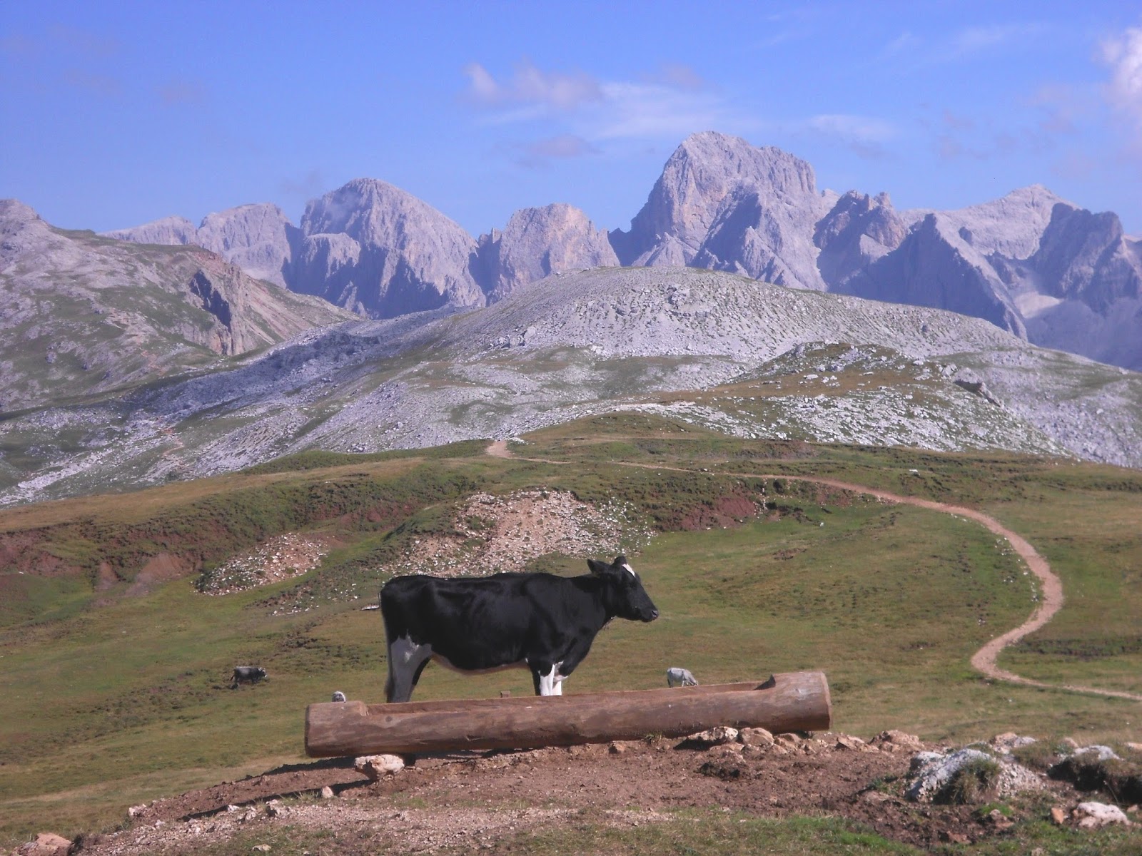 Trekking: anello dello Sciliar e Alpe di Siusi (Dolomiti)