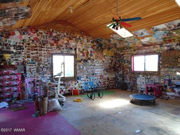 Harfang Voyageur: cat castle