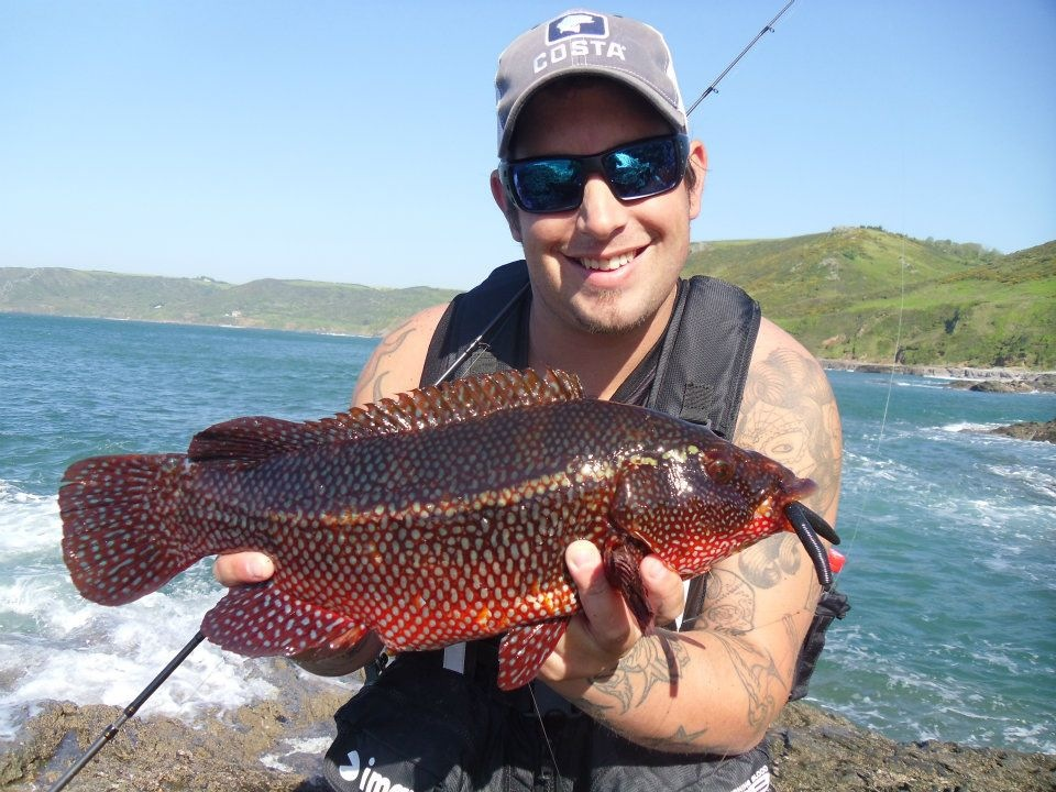 Lure Fishing. A Diary of Danny & Friends: Extreme Ballan Wrasse bashing