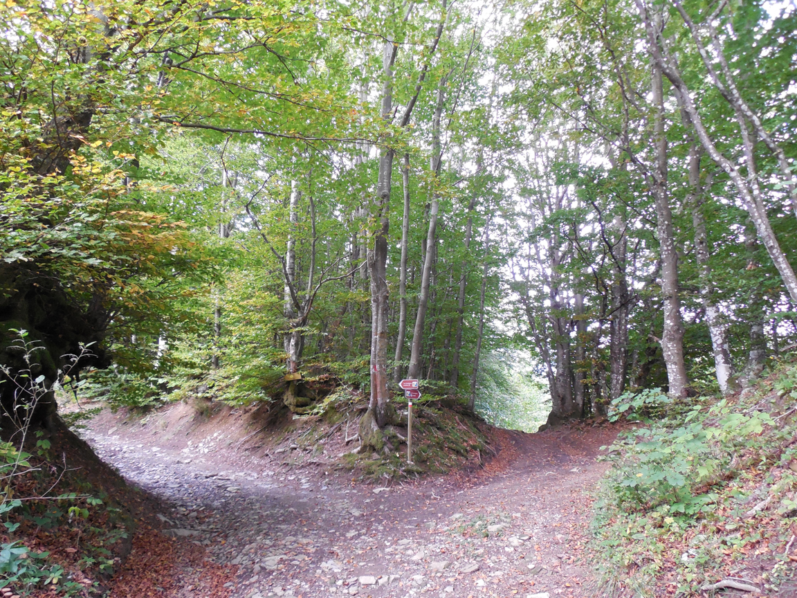 Escursionismo a 360°: dicembre 2015