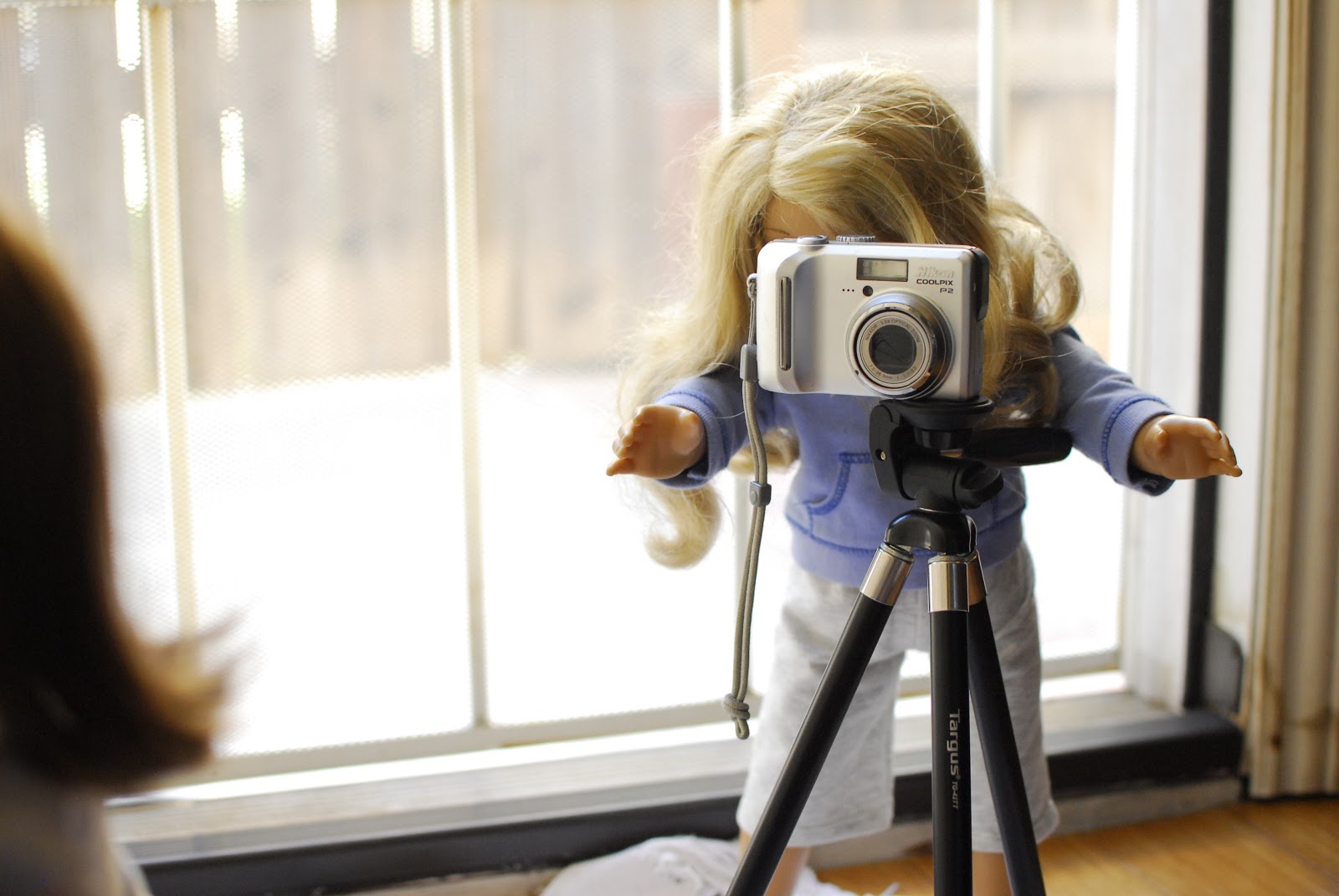 Doll Ponderings: DIY: Doll Photography Tips!
