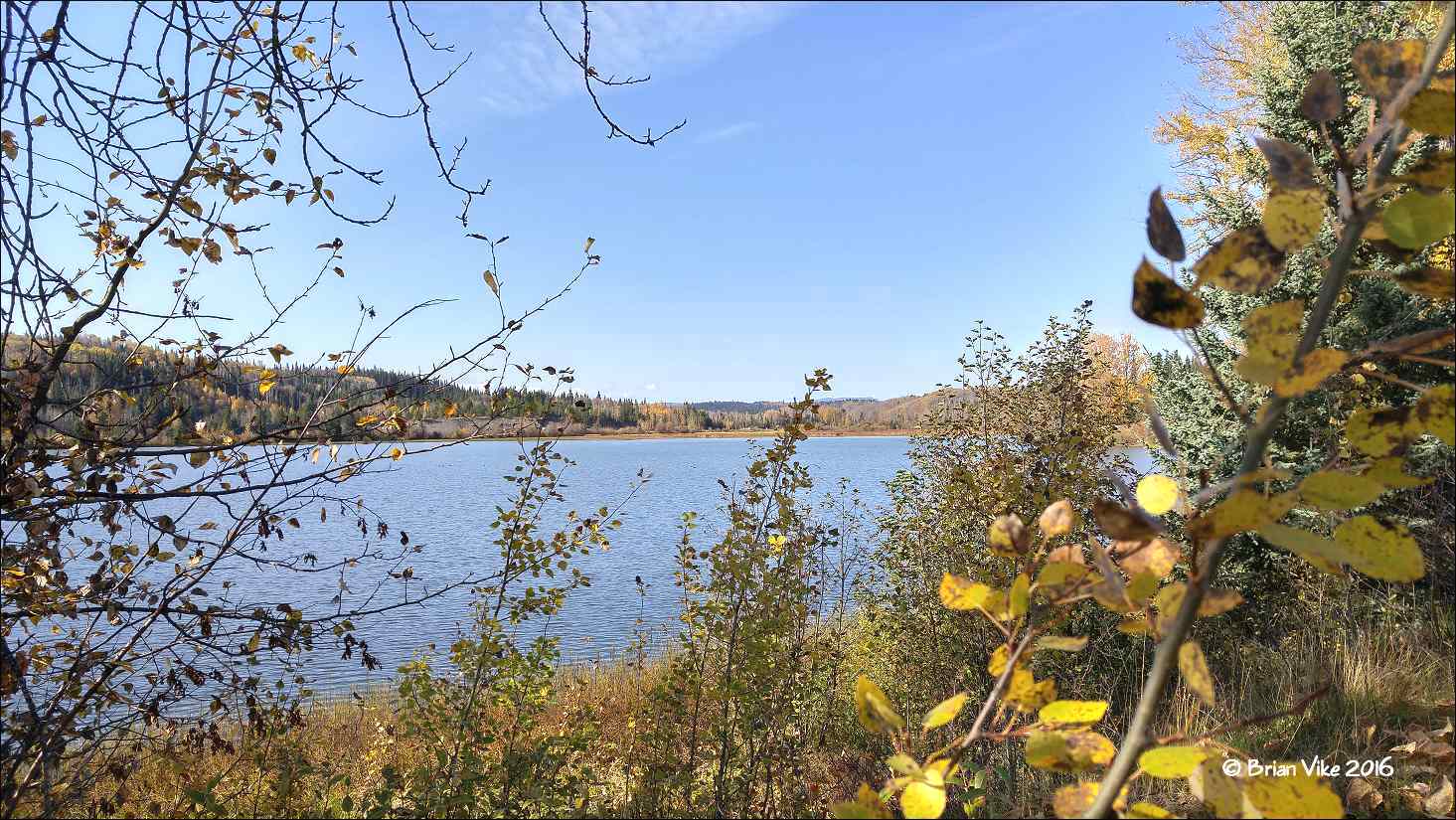 Northern Interior British Columbia: Fall Season At Rose Lake British ...