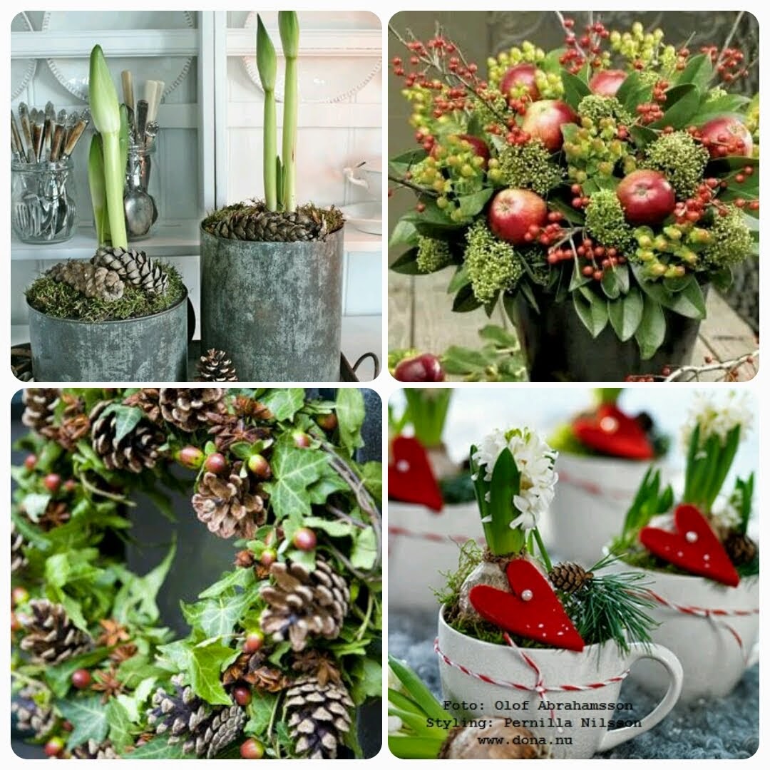 Julmysigt: Julblommor