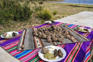 .: LA WATIA - TEXTO ESCRITO EN LENGUA AYMARA