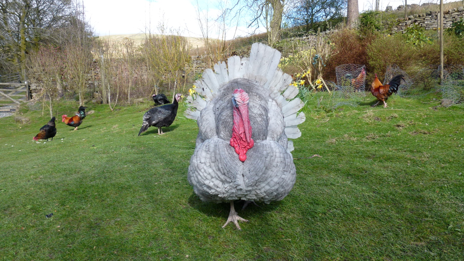 Nick Ham - long distance runner: April 2012